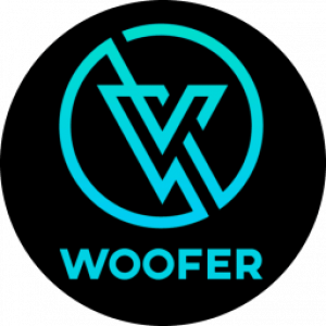 Woofer - #1 Best Valorant Spoofer